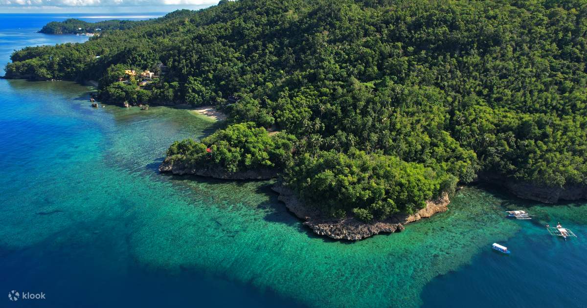 Explore Marine Wonders: Full-Day Snorkeling Trip in Sipalay with a PADI ...