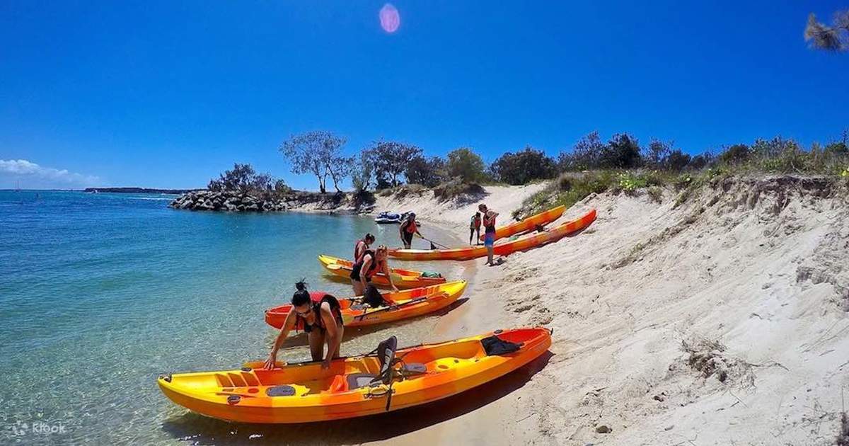 Kayaking & Snorkeling Tour in Gold Coast - 클룩 KLOOK 한국