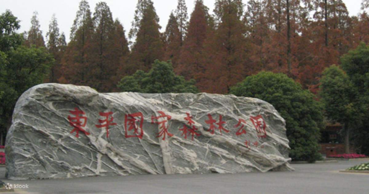 Dongping National Forest Park Ticket in Shanghai - Klook