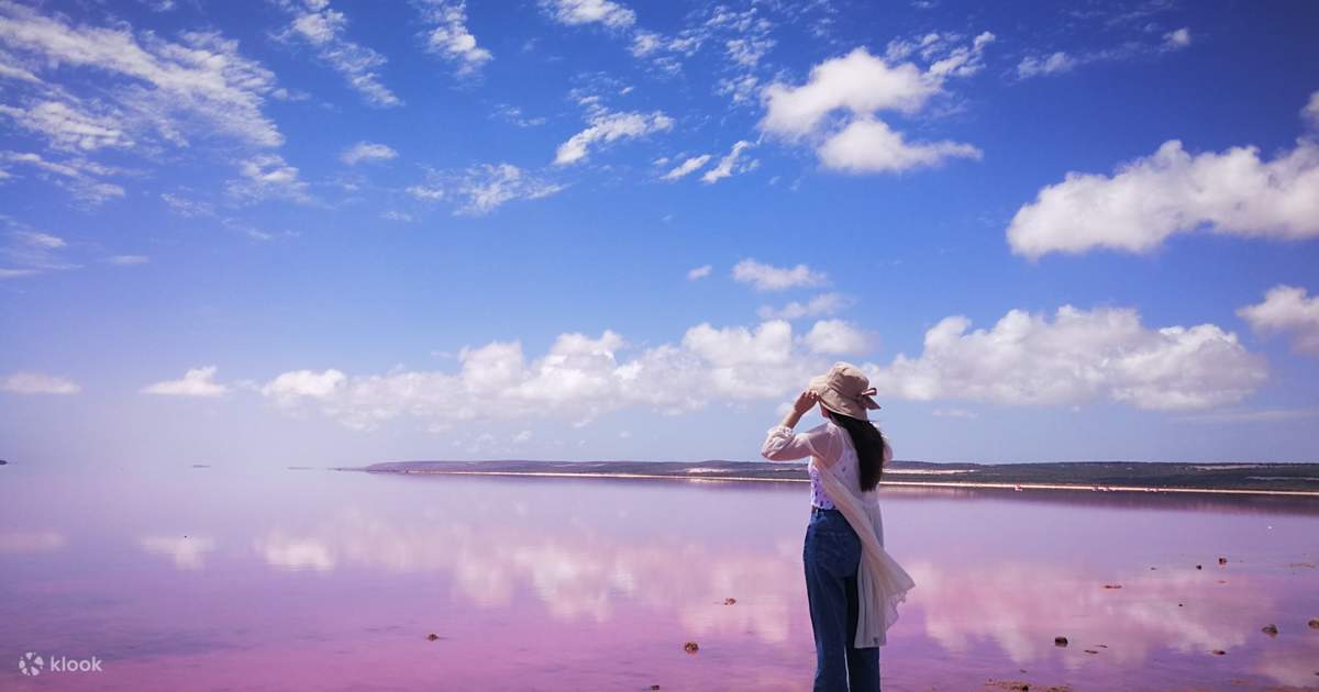 3-Day Pink Lake Impression Tour from Perth - Klook