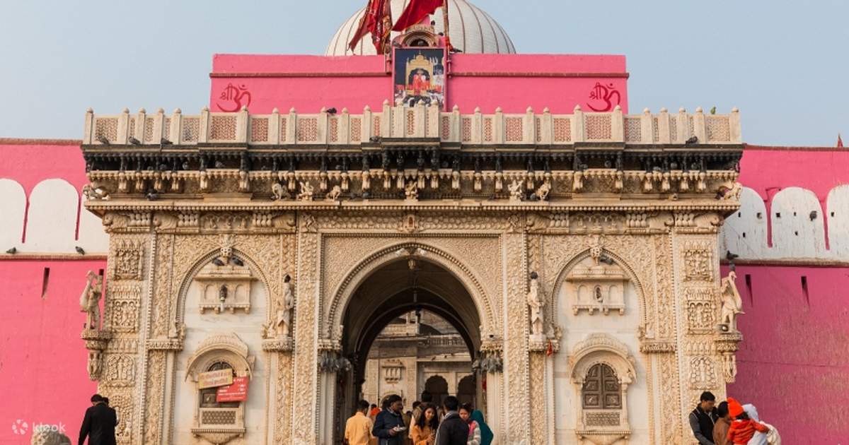 See Camel Centre, Rat Temple from Jodhpur & Bikaner Drop with Guide ...