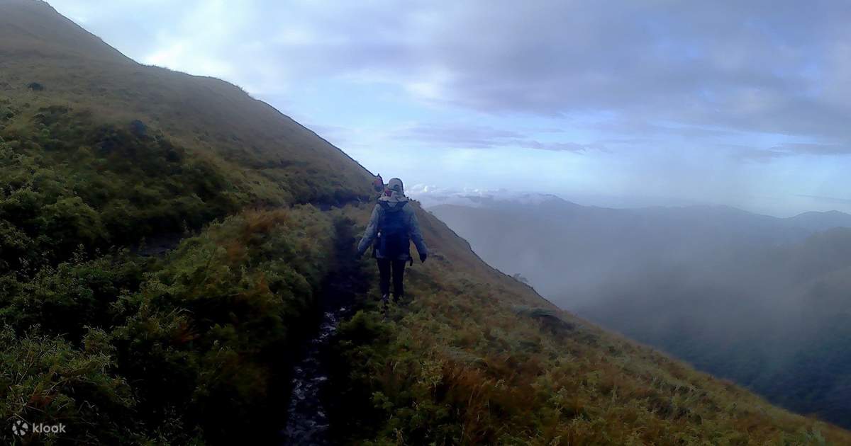 Mt. Pulag Hiking Tour from Baguio | Klook