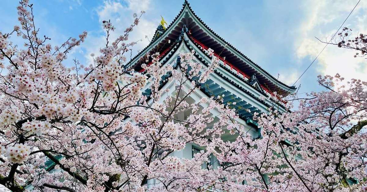 MOA Museum, Atami Sun Beach, and Atami Castle Day Tour (Depart from ...
