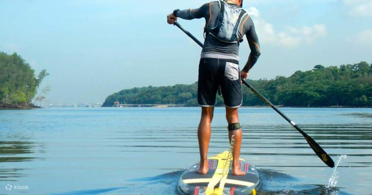 Standup Paddle Experience by Adventure Paddlers - Klook Singapore