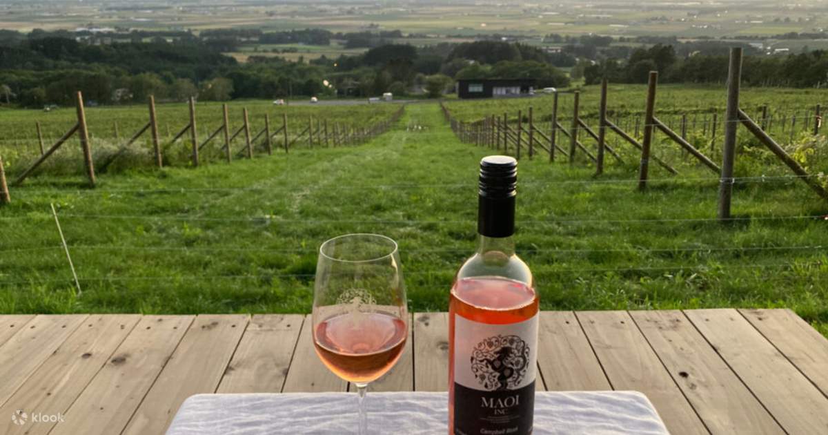 Wine tasting and scenic viewing on Hokkaido private deck (with airport ...