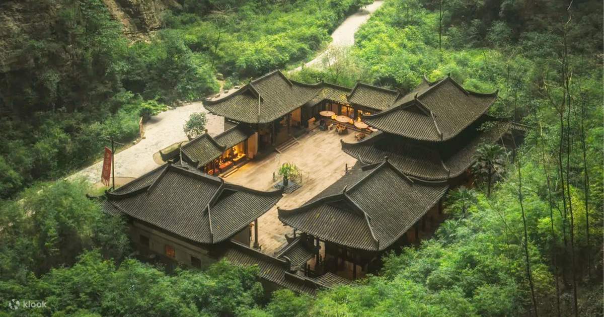 Excursion d'une journée à la Montagne de la Fée de Wulong et aux Trois ...