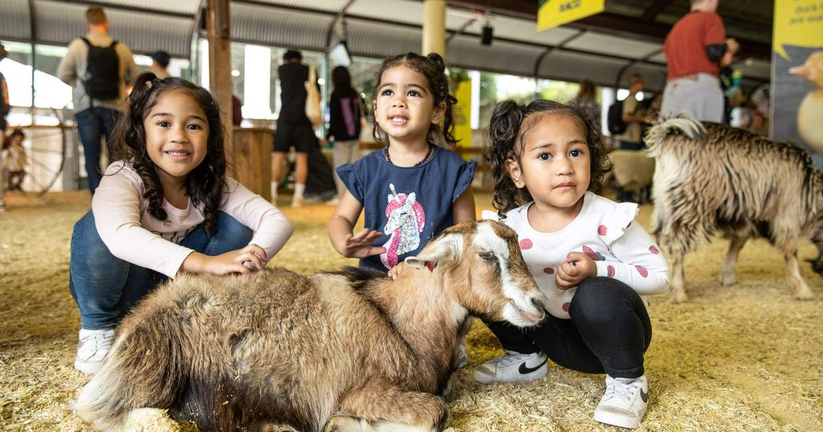 Entry Ticket to Ekka Show in Brisbane - Klook