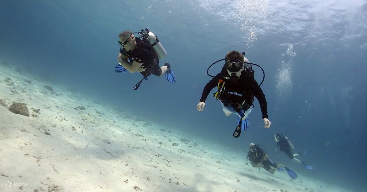 Penyelam Perairan Terbuka di Phuket | Pusat Menyelam PADI Bintang 5 ...
