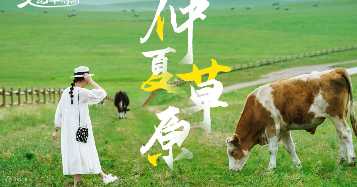 7 days in the midsummer grassland of Inner Mongolia (Hulunbuir wild ...