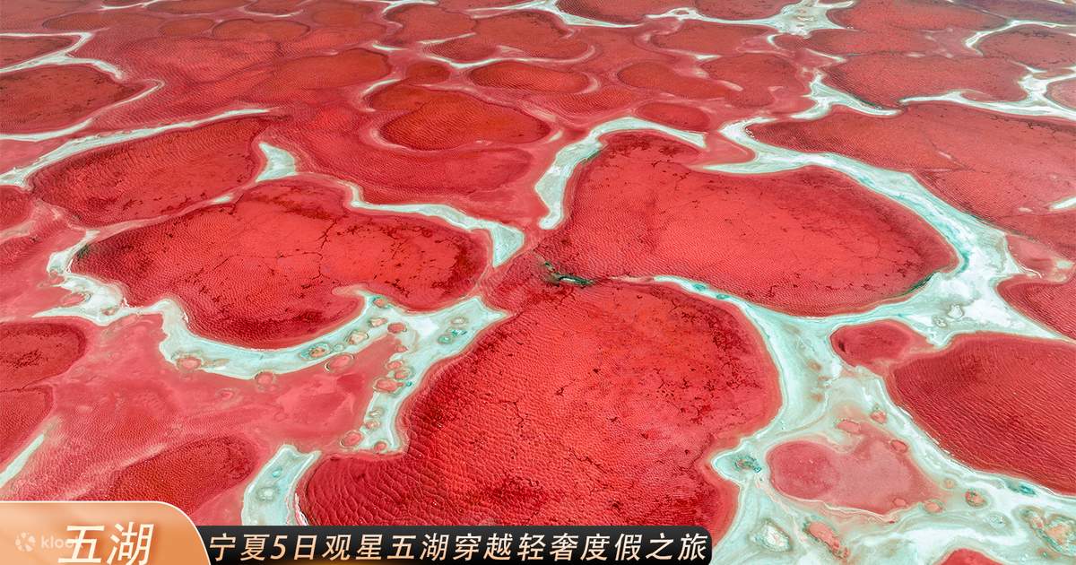 Ningxia Yinchuan Zhongwei Western Wild Luxury 5-Day (Five Lakes ...