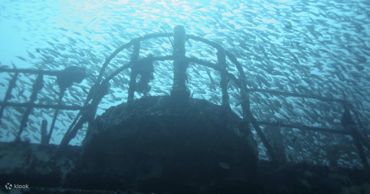 PADI Advanced Open Water Diver Level 1 di Florida dengan PADI 5 Star ...