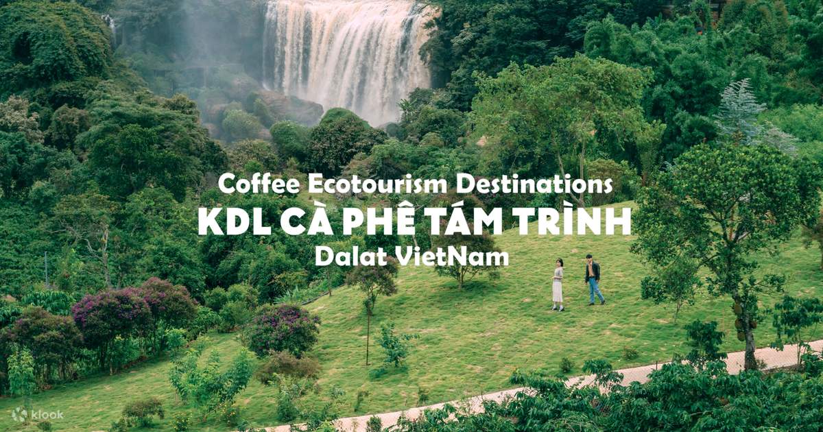 Visite d'une plantation de café et expérience caféière à la ferme de ...