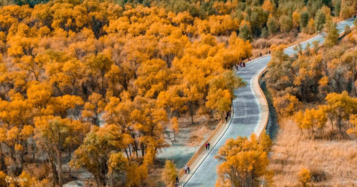 Xinjiang Autumn Southern Tarim Poplar 8-Day Tour (Tarim Poplar Forest ...