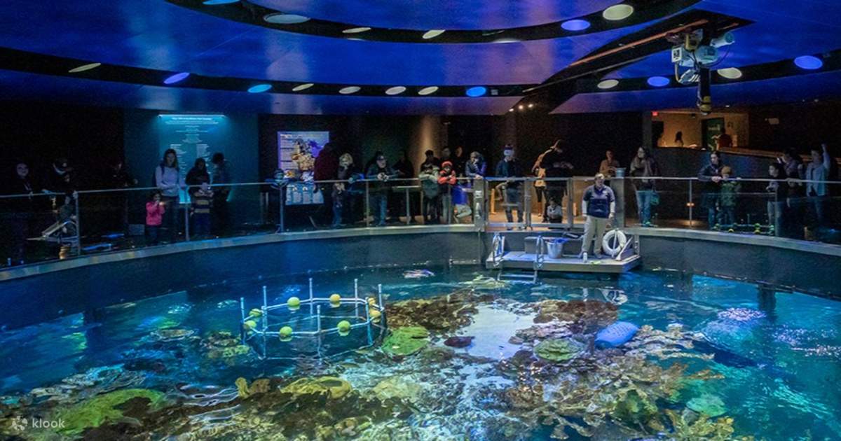 ตั๋วพิพิธภัณฑ์สัตว์น้ำนิวอิงแลนด์ - Klook ประเทศไทย