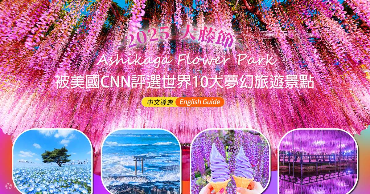 Adachi Flower Park Night Wisteria, Kamiso Torii, and Ibaraki Butterfly ...