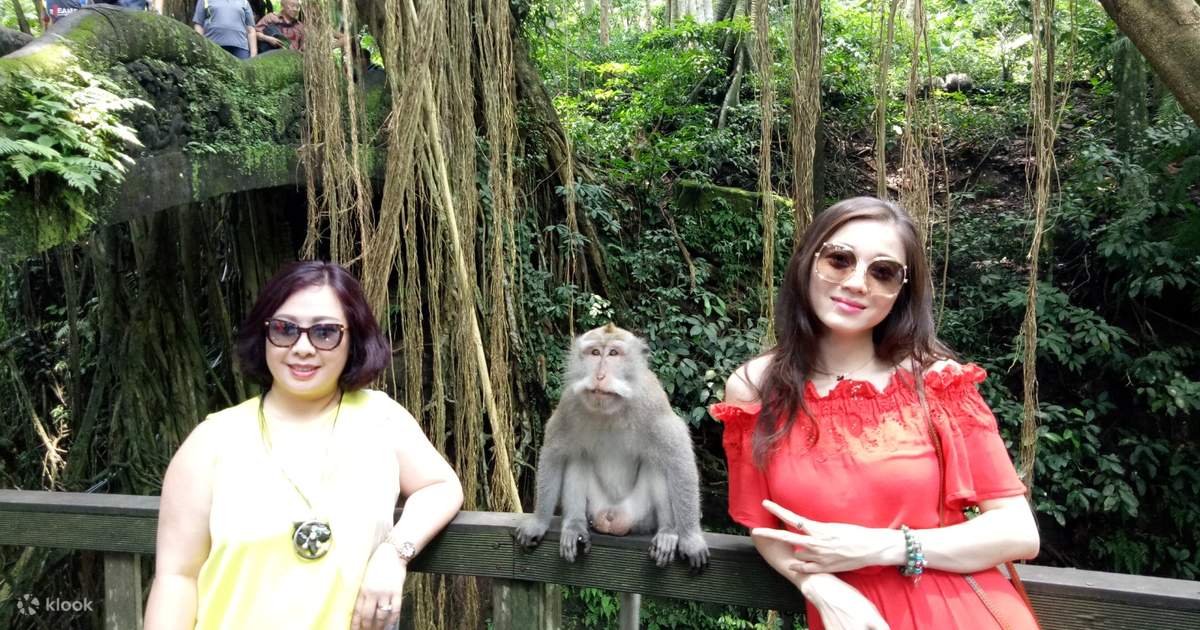 Ubud Monkey Forest and Butterfly Park Half Day Tour - Klook, Vereinigte ...