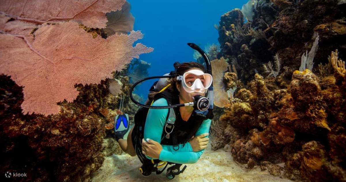 Become a PADI OW Diver in Koh Chang with a PADI 5 Star Dive Center ...