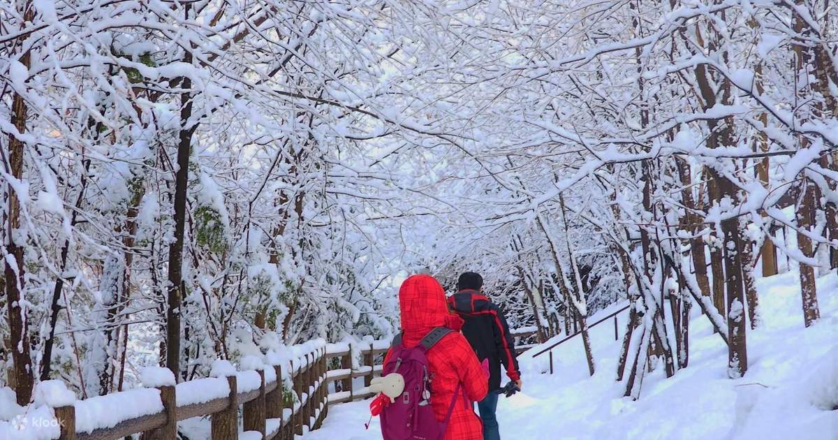 Hokkaido: Sapporo Sightseeing Half-Day Bus Tour - Klook Philippines