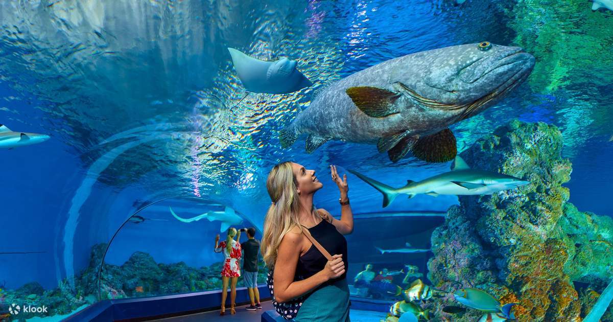 探索安塔利亚水族馆(含阿拉尼亚门票和接送服务) Klook客路
