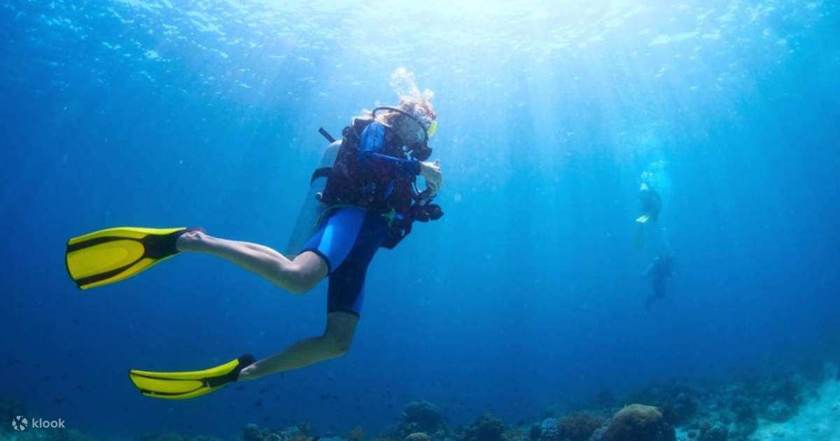 沙姆沙伊赫：拉斯穆罕默德潛水遊船之旅（含私人接送） Klook 客路