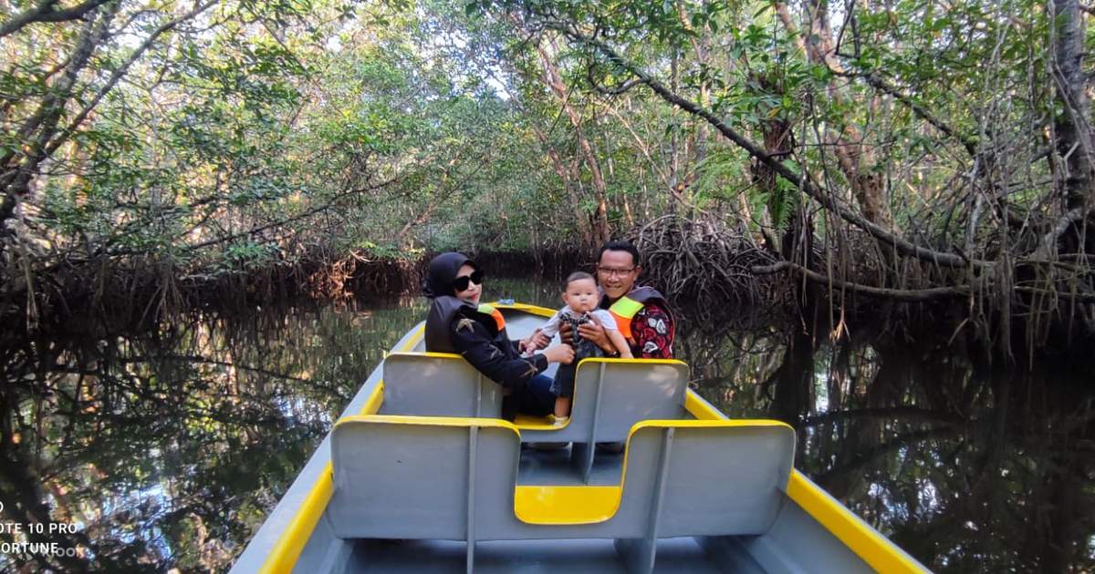 Bintan Mangrove atau Fireflies Discovery Tour - Klook Indonesia