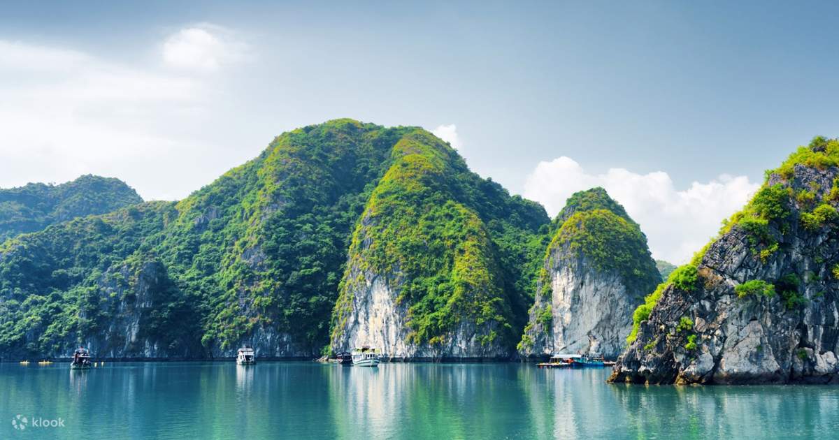 Tur Teluk Halong, Gua Mengejutkan, dan Pulau Titop dari Hanoi - Klook ...
