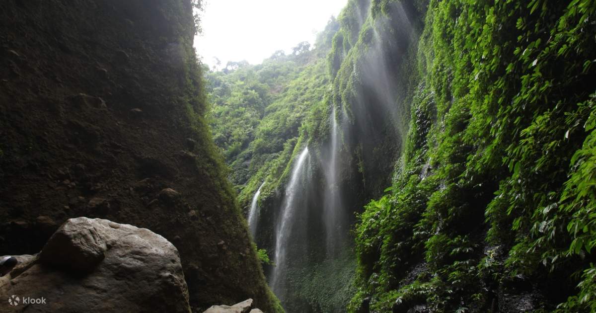 Bromo Sunrise and Madakaripura Waterfall Tour - 클룩 KLOOK 한국