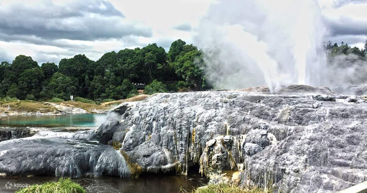 Waitomo and Rotorua Day Tour from Auckland with Te Puia - Klook United ...