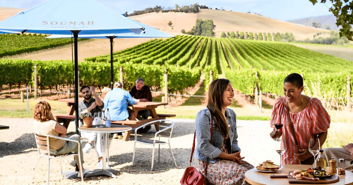 Yarra Valley Afternoon Winery Tour - Klook