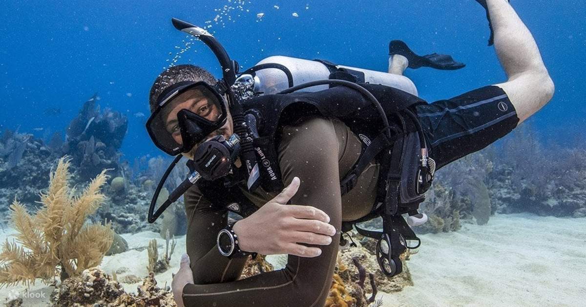Penyelaman Scuba Pertama untuk Pemula di Shirahama, Jepang - Klook ...