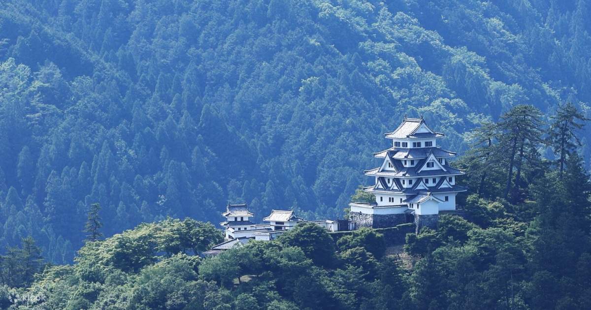 From Takayama: Gujo Hachiman - History, Traditions and Crafts - Klook ...