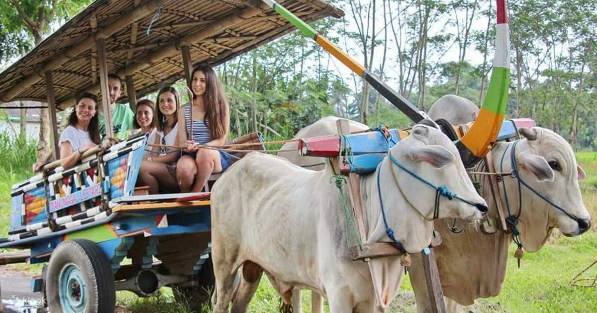 Omah Kecebong Cultural Activities in Sleman Yogyakarta - Klook