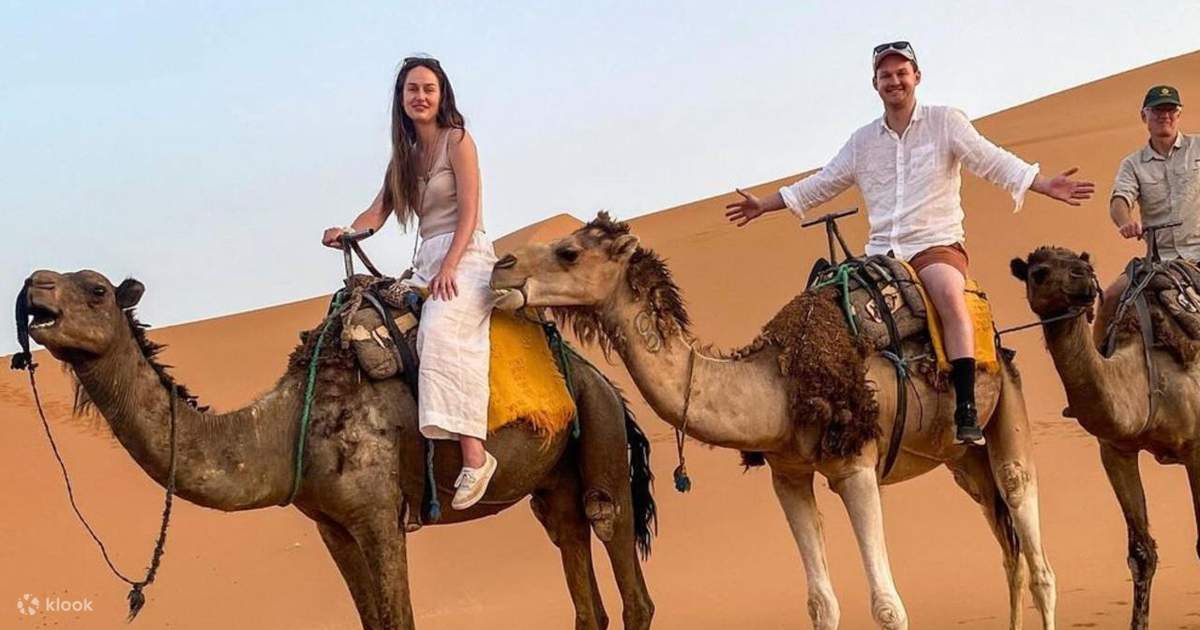 3D2N Marrakech to Fez Via Desert Merzouga Hotel, Lux Camp & Camel - Klook