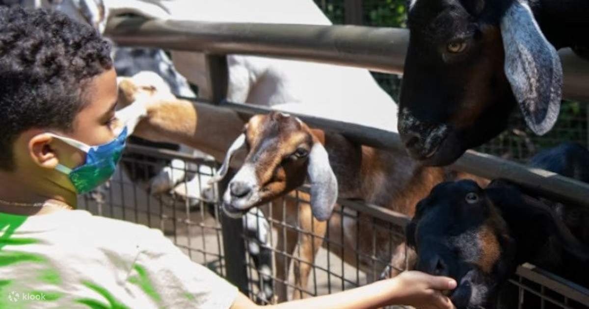 Entrada a la experiencia total del zoológico de Central Park en la ...