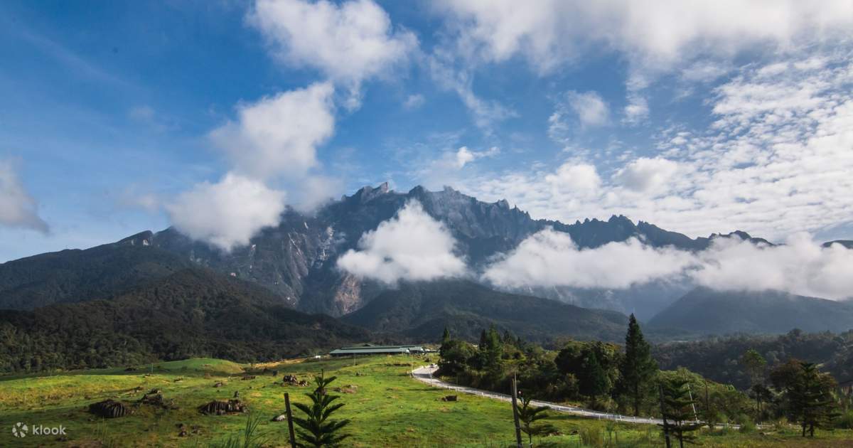 Mt. Kinabalu Farm Day Tour, Sabah, Malaysia - Klook Malaysia