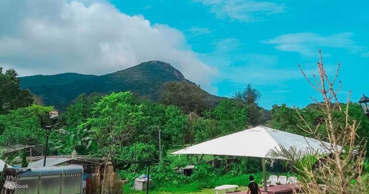 Pui O JK Club Luxury Camping Picnic BBQ Experience - Klook