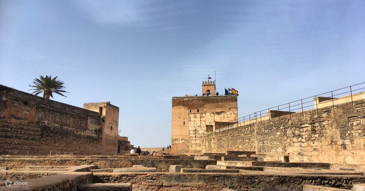 Visite guidée de l'Alhambra avec options pour le Palais Nasrides et les ...