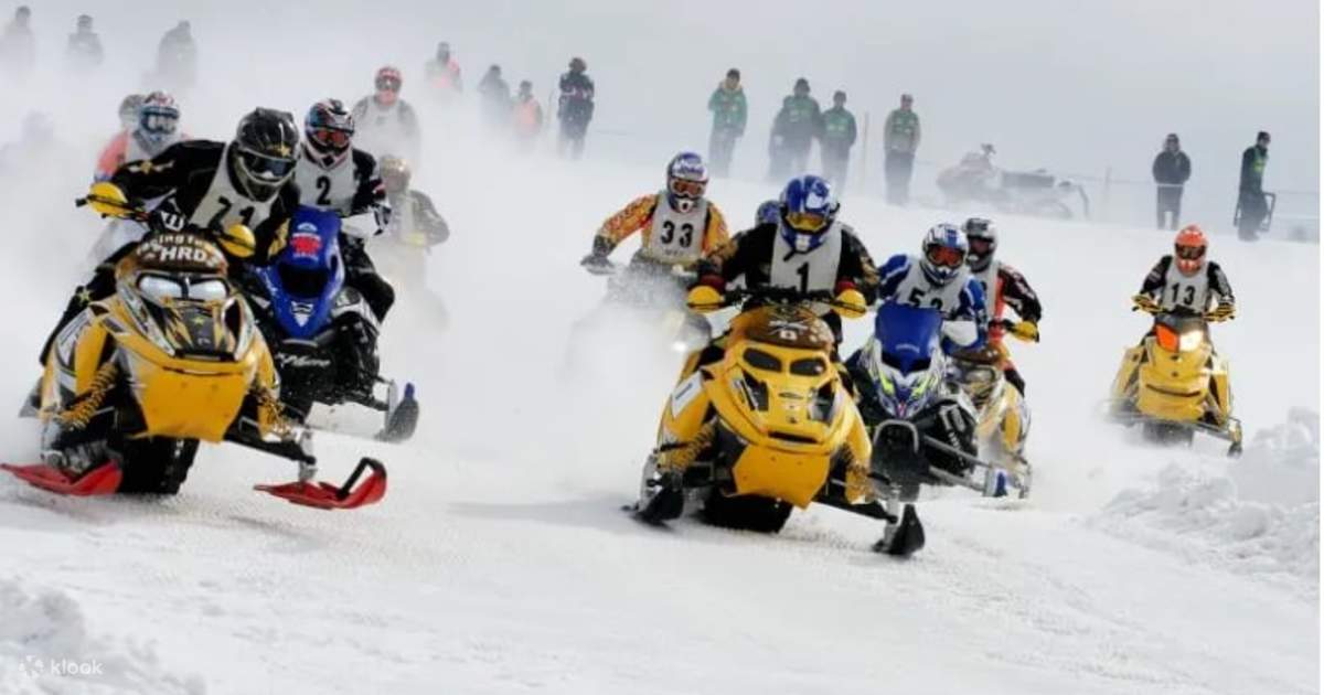 One-day tour to Shikisai-no-Oka Hill, Forest Elf Terrace, Biei ...