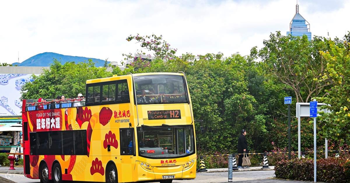 Rickshaw Sightseeing Bus - Open-top double-decker bus night tour ...