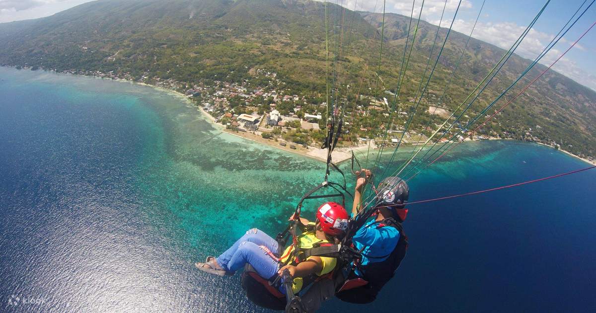 Oslob Whale Shark Swimming and Paragliding Experience - Klook Philippines