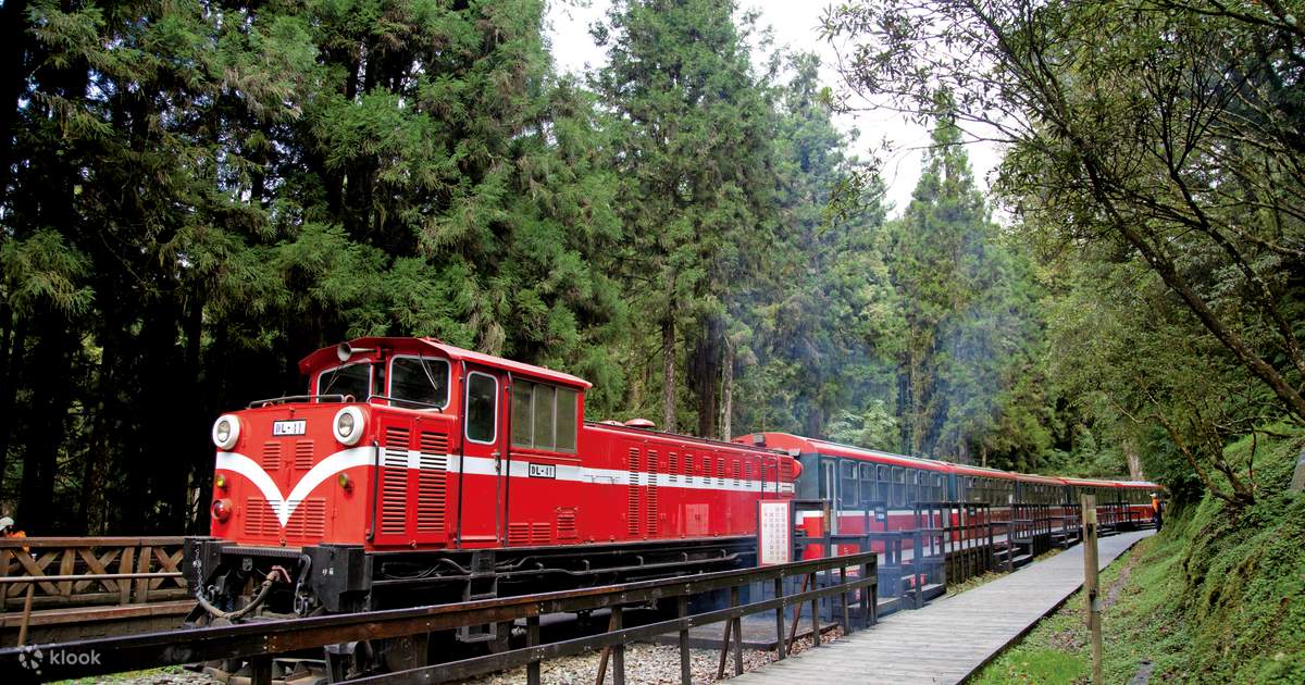 Sun Moon Lake & Alishan Private 3-Day Tour from Taipei - Klook Singapore