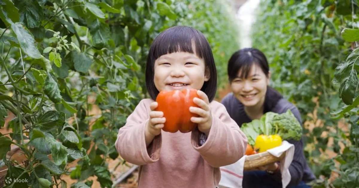 Taoyuan | Formosa Plastics Yangmei Organic Ecological Farm | Farm tour ...