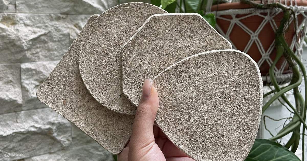 Singapore Eggshell Coaster Making Workshop by Eco Rangers Pte Ltd - Klook