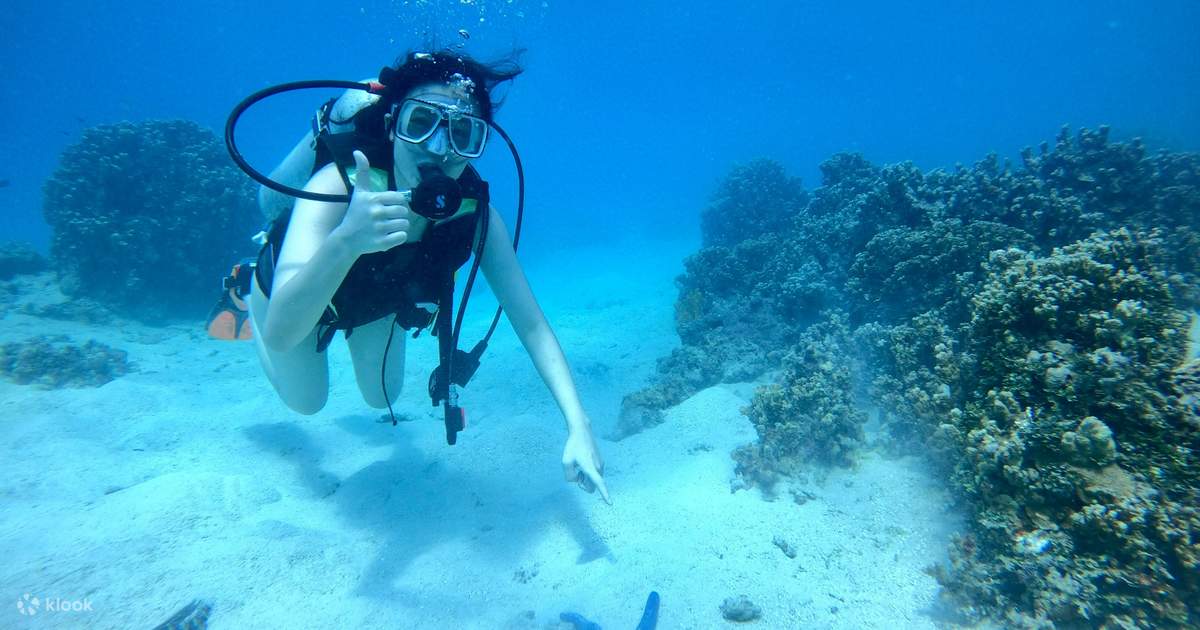Cours de plongée sous-marine et de standup paddle à Guam - Klook États-Unis