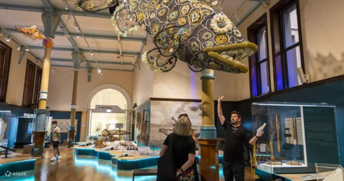Waranara: First Nations Tour by The Australian Museum - Klook
