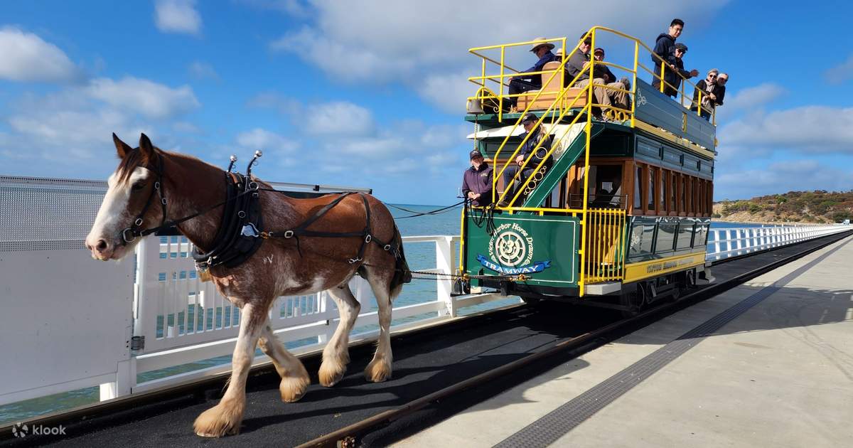 Victor Harbor Wildlife and Ocean Explorer Tour - Klook Singapore