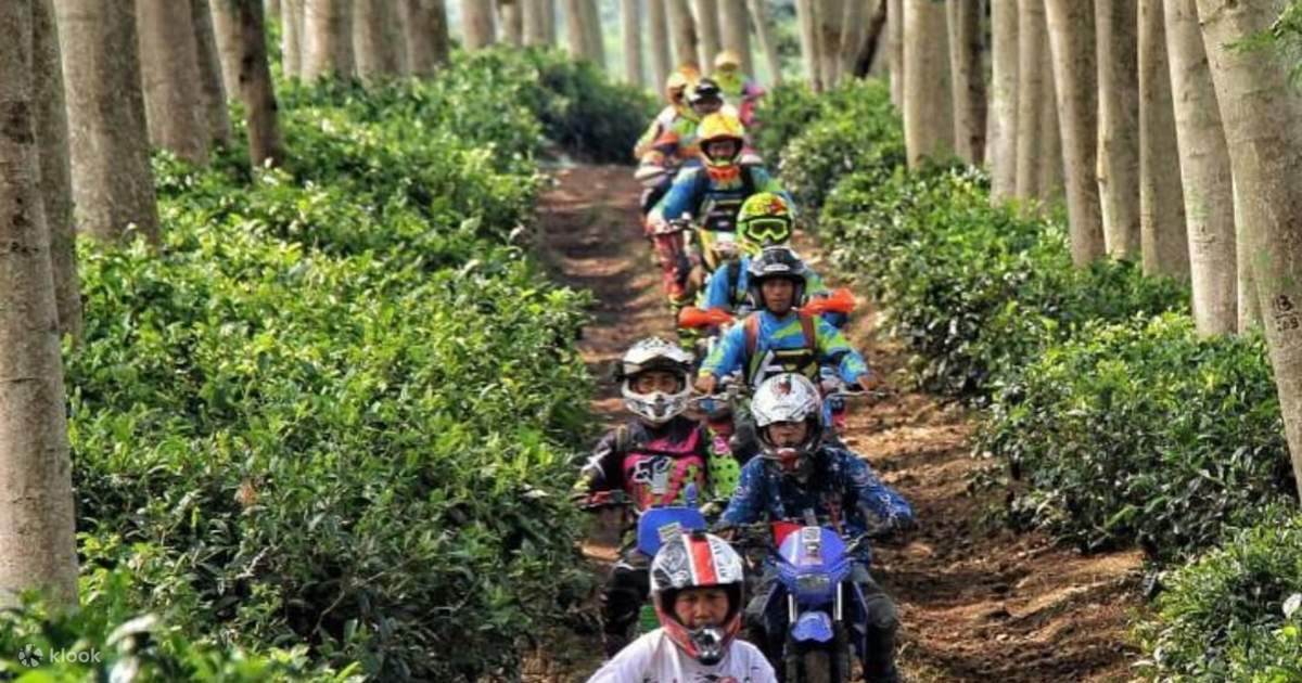 Adventure Trail Trip to Wonosari Tea Plantation - Klook