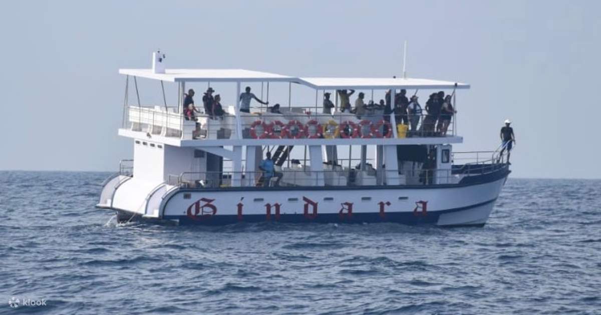 All Inclusive Mirissa Morning Whale Watching Boat Tour with Geeth ...