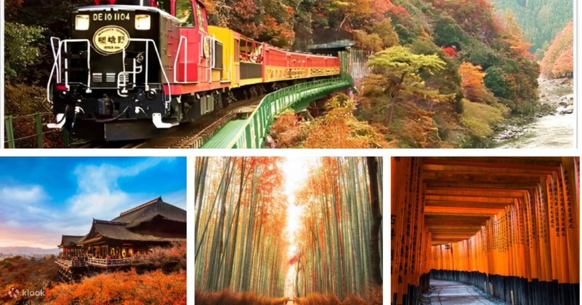 Kyoto Sagano Romantic Train Day Tour - Klook Australia