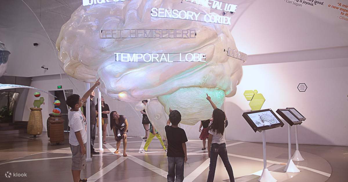 The Mind Museum BGC All-Day Pass - Klook Philippines